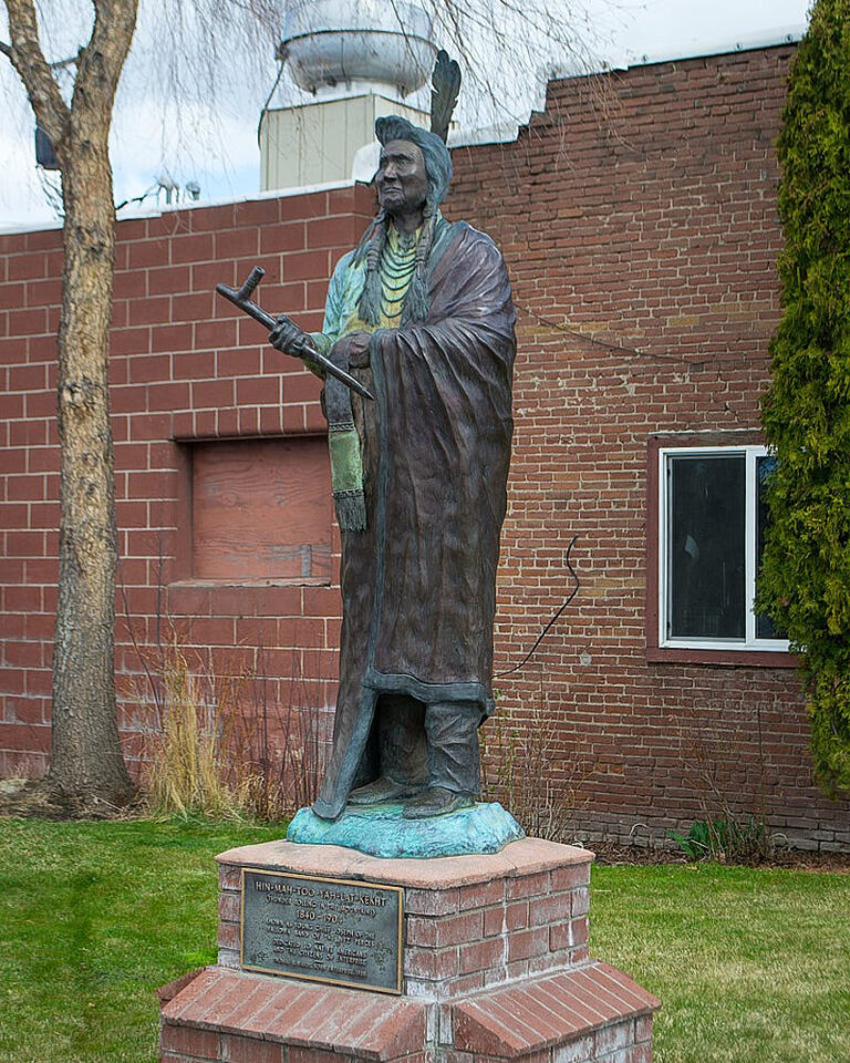 Chief Joseph, an Extraordinary Indian Chief - AICA | American Indian ...