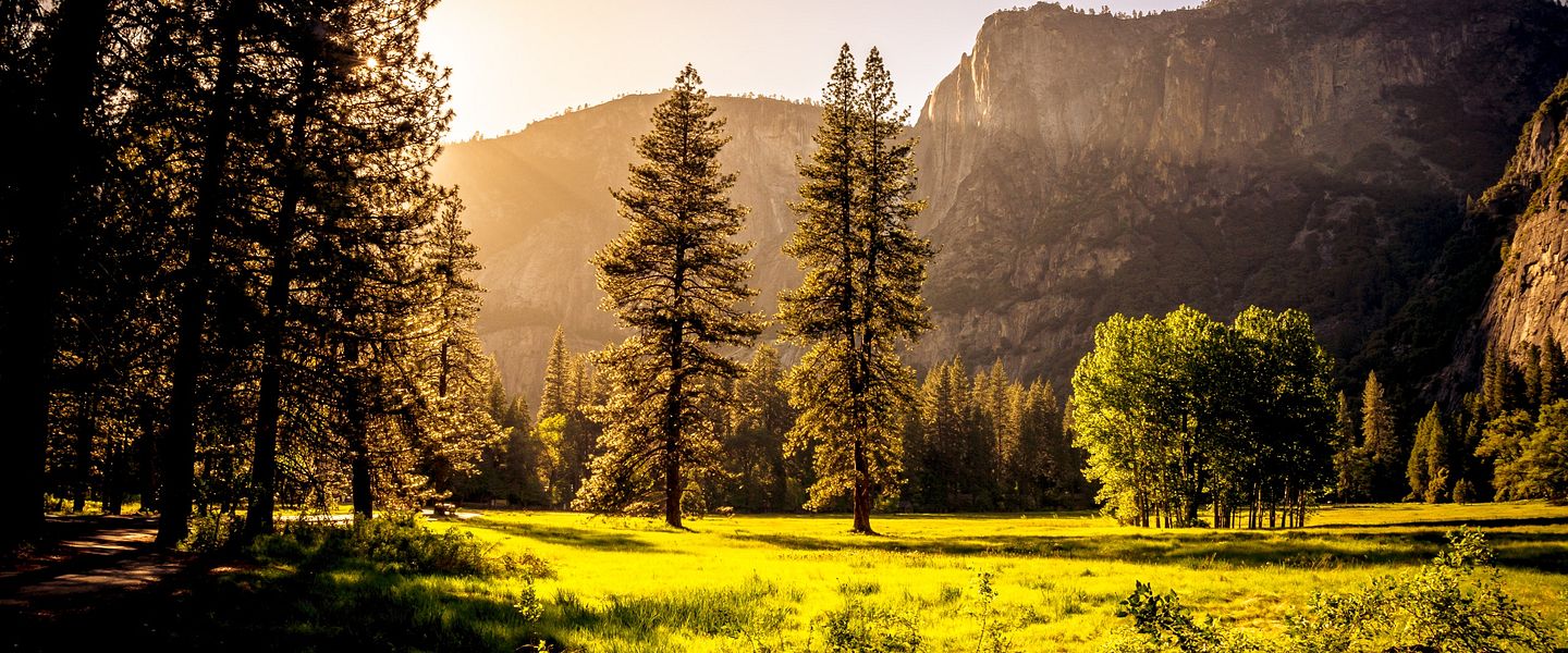 Indigenous Stewardship and the Legacy of National Parks on Tribal Lands ...